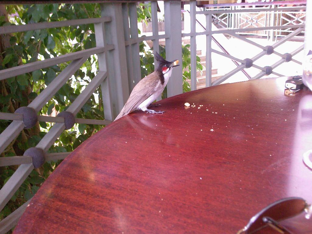 » Port Louis, Mauritius Nine Yards … and counting.